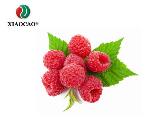 Fresh Fruit Product Organic Herbal Extracts Instant Cherry Juice Powder