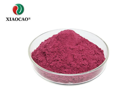 Health Organic Herbal Extracts Cranberry Fruit Juice Concentrate Powder