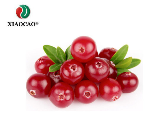 Health Organic Herbal Extracts Cranberry Fruit Juice Concentrate Powder