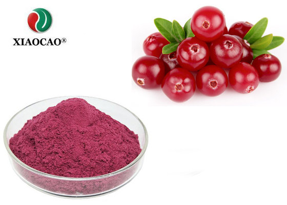 Health Organic Herbal Extracts Cranberry Fruit Juice Concentrate Powder