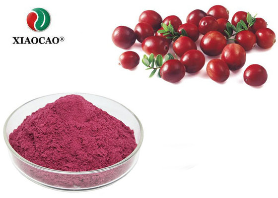 Beverage Additives Cranberry Fruit Concentrate Juice Powder Purple Red