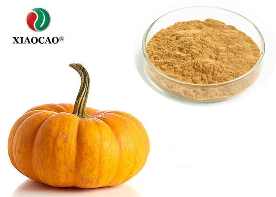 Food Supplement Organic Herbal Extracts Nutritional Organic Pumpkin Powder