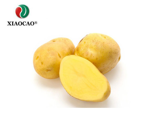 Health Protect Potato Protein Isolate , 70% Potato Protein Powder