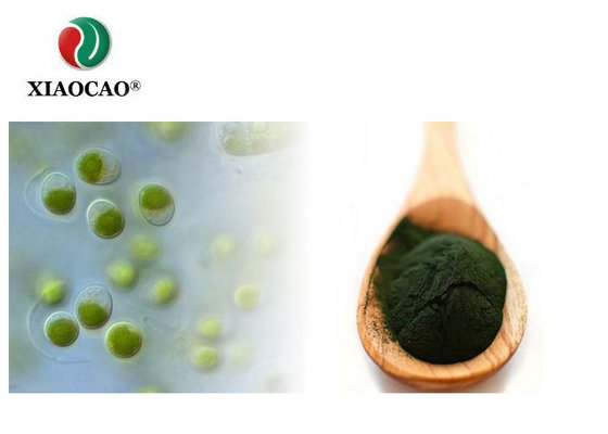 Leaf Organic Herbal Extracts Chlorella Powder For Resist Radiation , Strengthen Metabolism