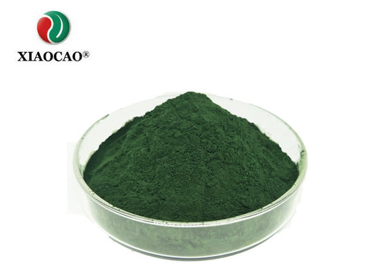 Leaf Organic Herbal Extracts Chlorella Powder For Resist Radiation , Strengthen Metabolism