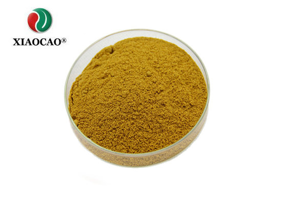 Pure Organic Rhubarb Powder , Rhubarb Leaf Root Extract Emodin Powder