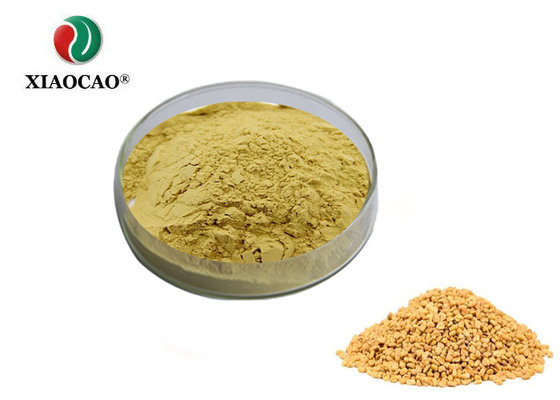 Food Grade Freeze Dried Powder Organic Fenugreek Powder High Purity