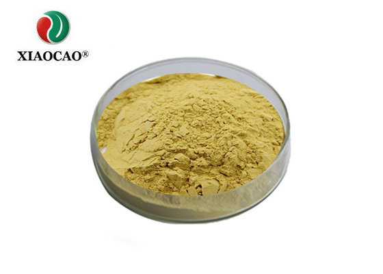 Food Grade Freeze Dried Powder Organic Fenugreek Powder High Purity