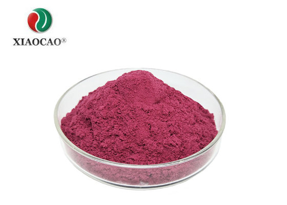 Pure Natural Freeze Dried Powder Spray Dried Blueberry Juice Powder