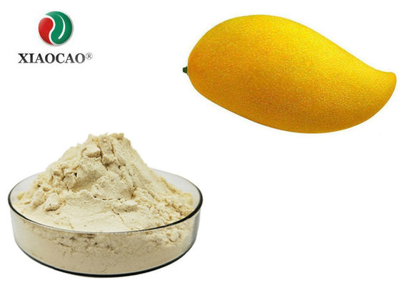 Spray Freeze Dried Powder Mango Juice Powder For Food Beverages Industry