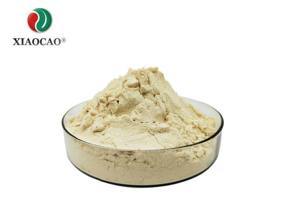 Spray Freeze Dried Powder Mango Juice Powder For Food Beverages Industry