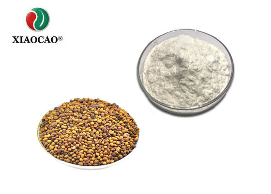 Natural Cytisine Organic Herbal Extracts Sparteine 98% CAS 485-35-8