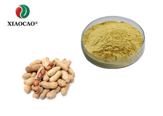 Peanut Shell Extract Luteoline / Arachis Hypogaea Extract Luteolin 98%
