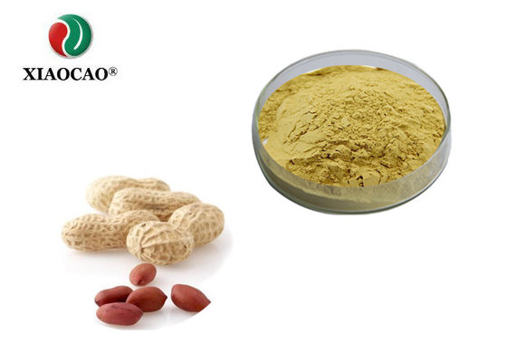 Peanut Shell Extract Luteoline / Arachis Hypogaea Extract Luteolin 98%