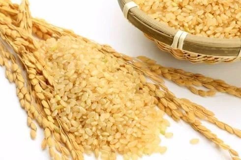 Medicine Grade Organic Herbal Extracts Rice Bran Extract Ferulic Acid