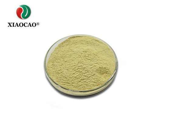 520-33-2 Organic Herbal Extracts Citrus Aurantium Extract Hesperetin 98% For Hesperetin Supplement