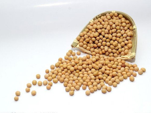 SBOS Soy Oligosaccharides / Organic Chitosan Oligosaccharide Powder