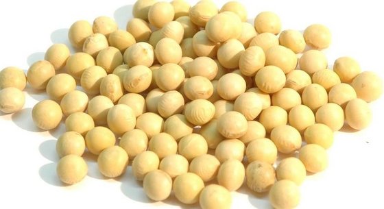 SBOS Soy Oligosaccharides / Organic Chitosan Oligosaccharide Powder