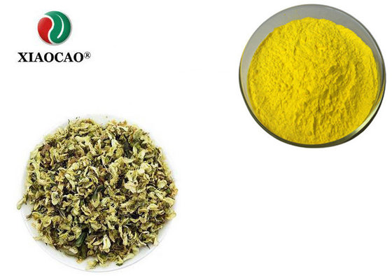 Sophora Japonica Natural Botanical Extracts Quercetin 95% / 98%