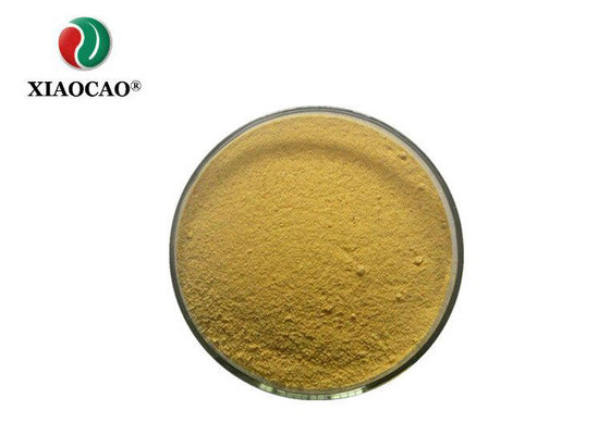 Organic Lemon Peel Extract Powder Diosmetin / Lemon Extract Diosmetin Powder