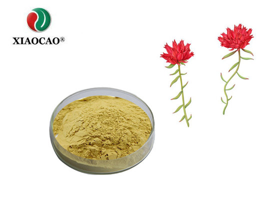 100% Natural Botanical Extracts Rhodiola Rosea Extract 5% Rosavins