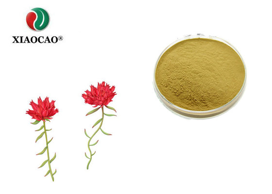 100% Natural Botanical Extracts Rhodiola Rosea Extract 5% Rosavins