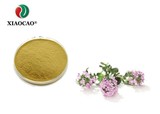 Antibacterial Thyme Leaf Extract Powder , Thymus Vulgaris Extract 10/1