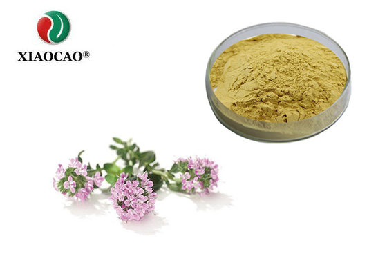 Antibacterial Thyme Leaf Extract Powder , Thymus Vulgaris Extract 10/1
