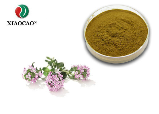 Antibacterial Thyme Leaf Extract Powder , Thymus Vulgaris Extract 10/1