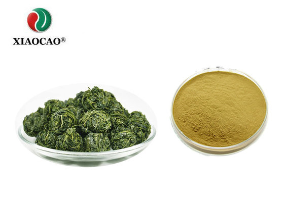 Gynostemma Pentaphyllum Natural Botanical Extracts For Regular Blood Pressure