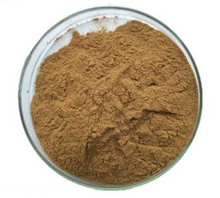 High Purity Organic Herbal Extracts Forsythia Suspensa Extract Powder
