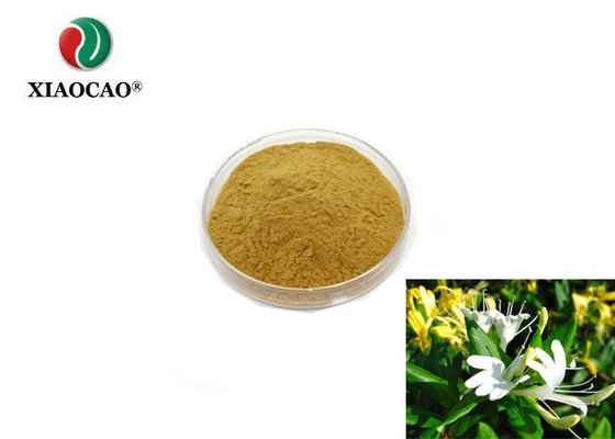 Natural Wild Honeysuckle Flower Extract / Honeysuckle Extract Powder