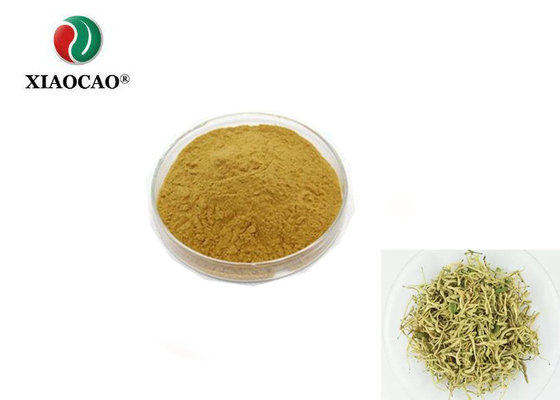 Natural Wild Honeysuckle Flower Extract / Honeysuckle Extract Powder