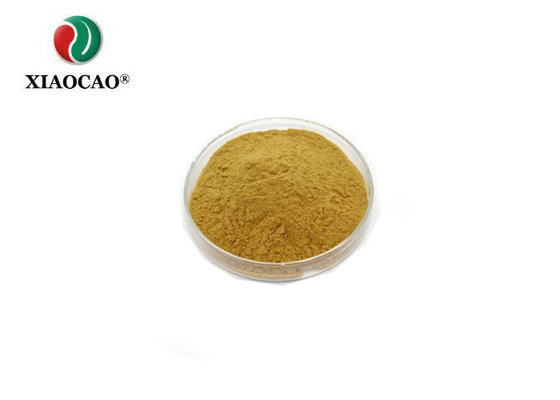 Honeysuckle Flower Organic Herbal Extracts 98% CAS No. 327-97-9
