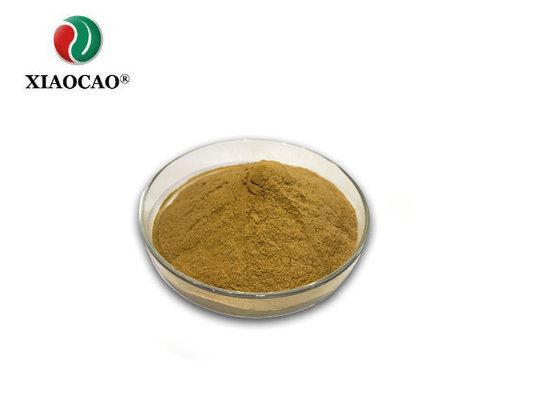 99% Min Organic Herbal Extracts Isatis Root Extract antioxidant