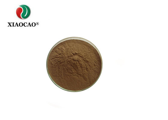 Antibacterial Organic Herbal Extracts Houttuynia Cordata Thunb Extract