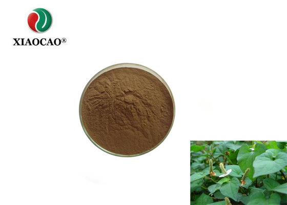 Antibacterial Organic Herbal Extracts Houttuynia Cordata Thunb Extract