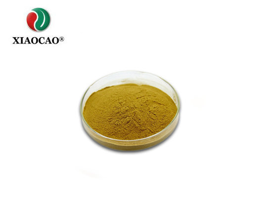 Plant Pogostemon Cablin Extract , Pogostemon Cablin Powder 80 Mesh