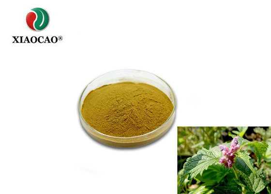 Plant Pogostemon Cablin Extract , Pogostemon Cablin Powder 80 Mesh