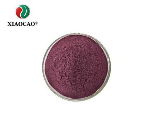 10/1-25% Organic Herbal Extracts Elderberry Anthocyanin Extract powder