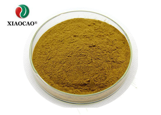 Echinacea Root Extract Organic Herbal Extracts , Echinacea Whole Plant Extract