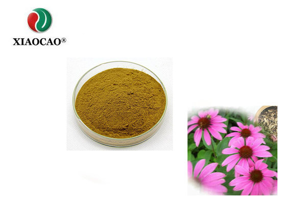 Echinacea Root Extract Organic Herbal Extracts , Echinacea Whole Plant Extract