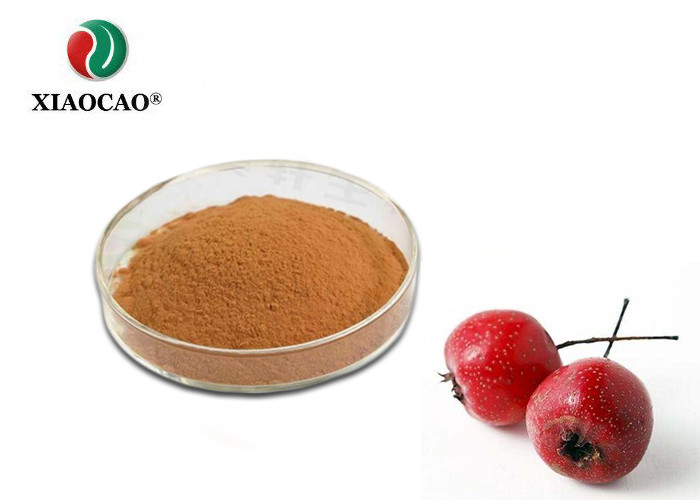 Food Grade Organic Hawthorn Berry Powder Solvent Extraction Enhancing Immunity
