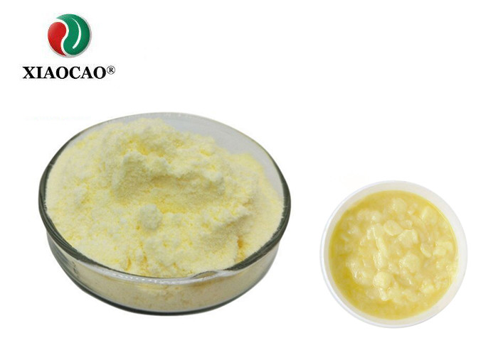 100 Natural Freeze Dried Royal Jelly Powder Milk Yellow High Solubility