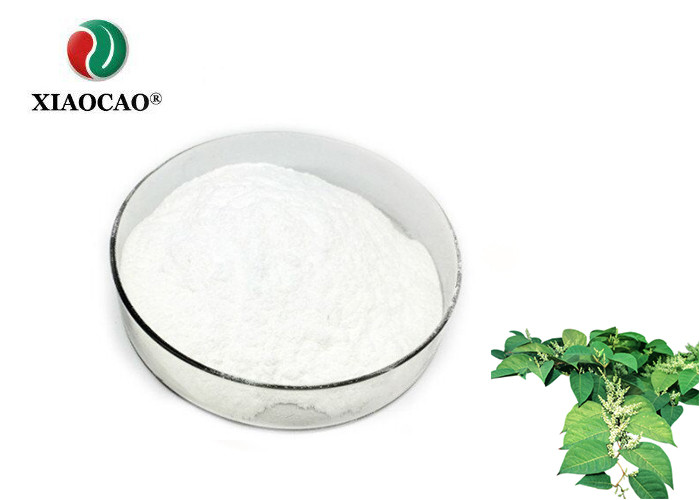 Cosmetic Grade Natural Botanical Extracts Micronized Resveratrol 98% HPLC