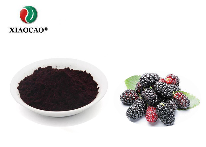 Natural Freeze Dried Powder , Mulberry Fruit Powder 60 - 80 Mesh