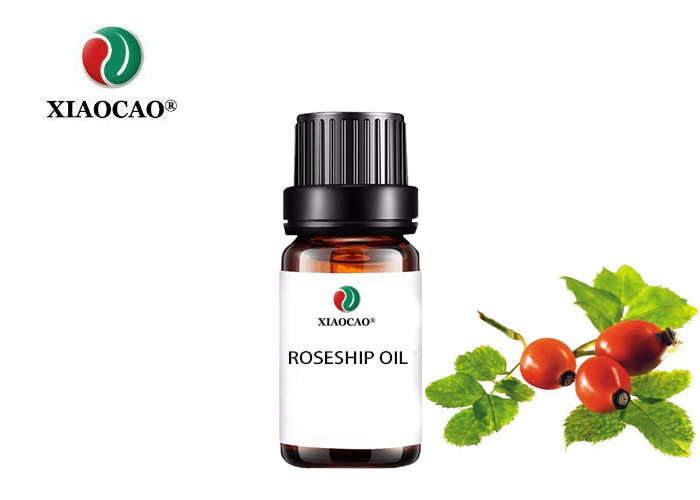 High Vitamin Rosehip Essential Oil For Face Smooth Out Wrinkles
