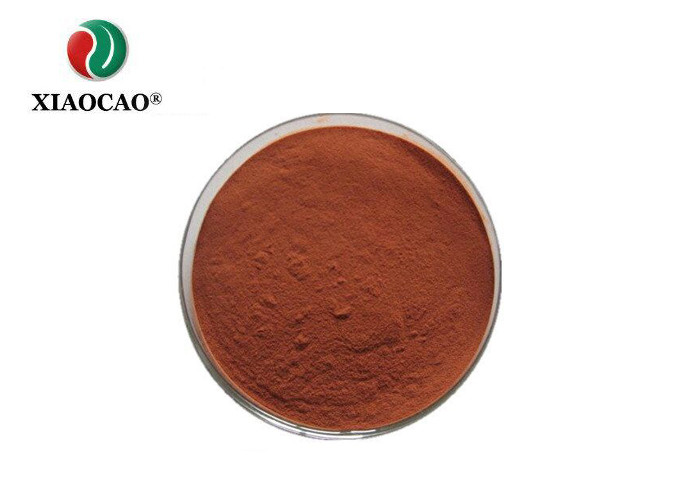 Fine Bulk Organic Cinnamon Powder Health Product Field Blood Pressure Reduction