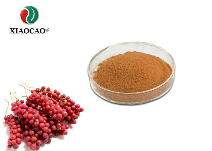 Fine Pure Organic Schisandra Extract For Anti Oxidants Non GMO