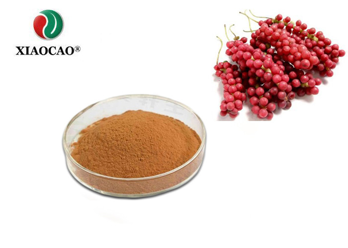 100 Percent Pure Schisandra Extract Powder , Schisandra Fruit Extract